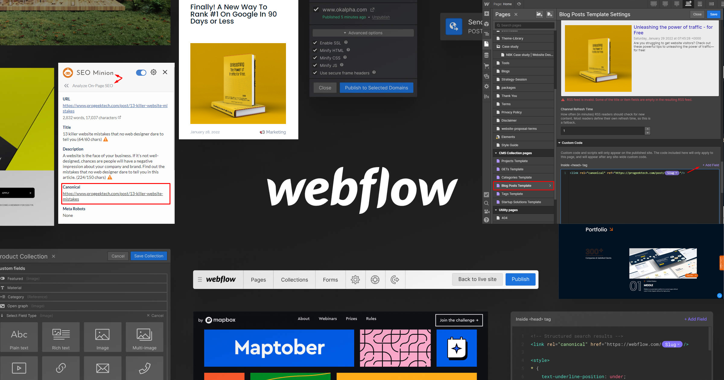 How To Create A Global Canonical Tag In Webflow